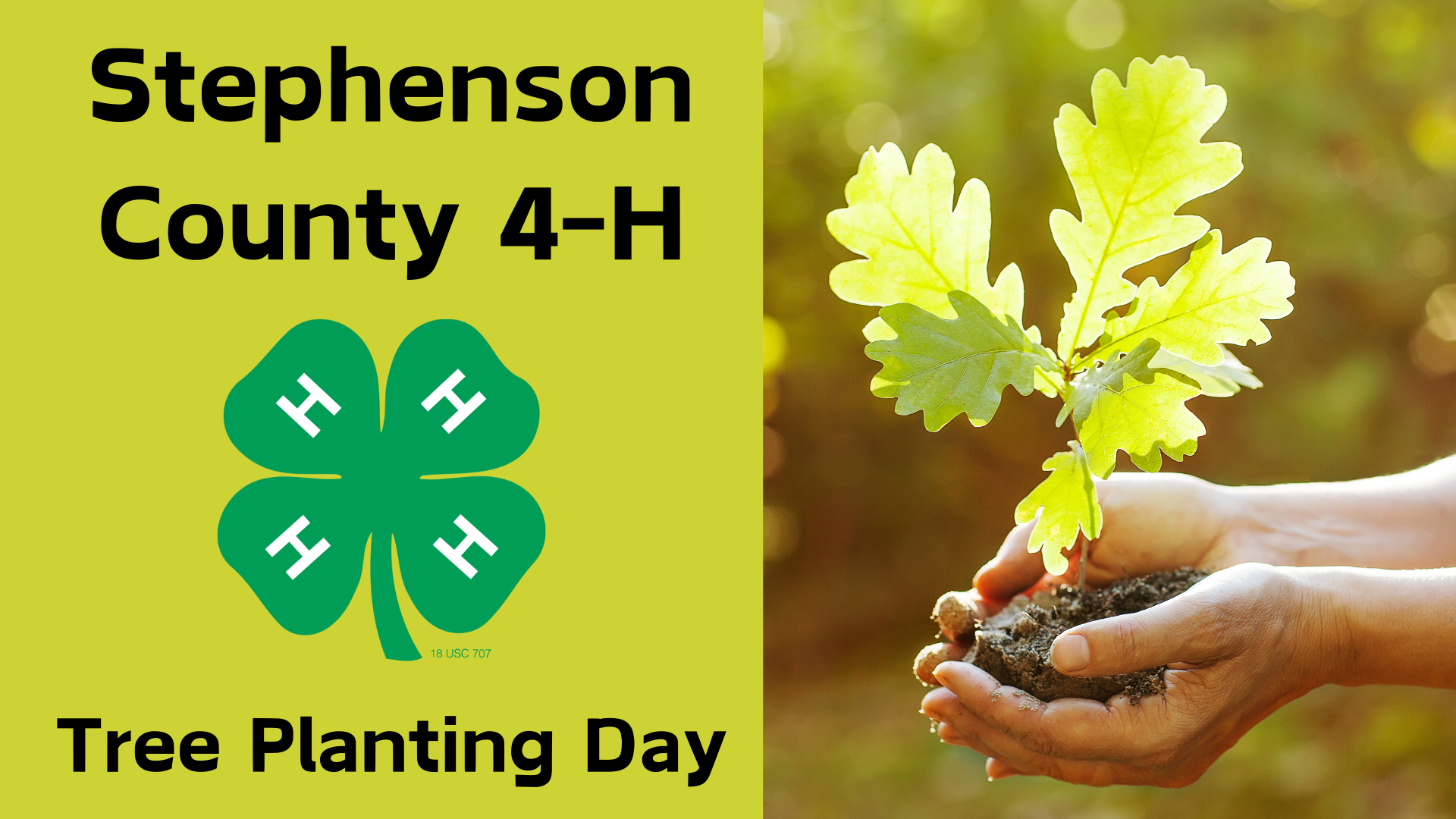 Stephenson County 4-H Tree Planting Day | Serving Jo Daviess ...